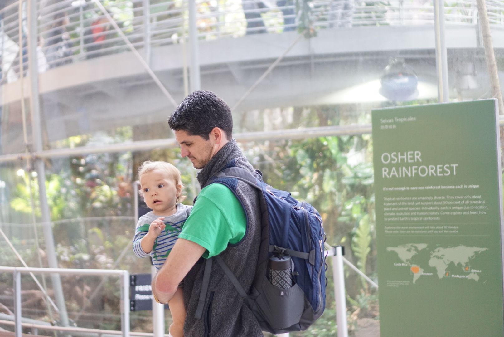 CALIFORNIA ACADEMY OF SCIENCES WITH A TODDLER • U Ready, Teddy?